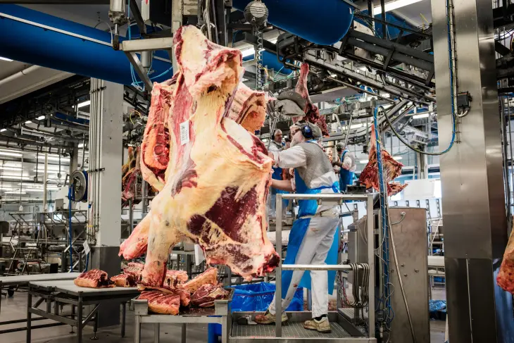 Nortura beholder skjæring og produksjon i Malvik - Medlemsportal for ...